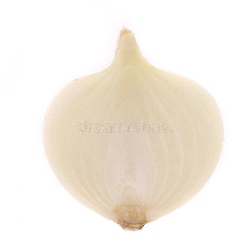 Onion slice close up. stock image. Image of healthy, herb - 37076349