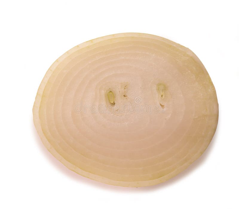 Onion slice stock photo. Image of slice, cross, macro - 26822758