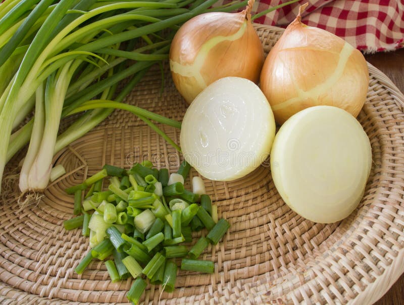 Onion stock image. Image of table, fresh, cooking, natural - 51270395