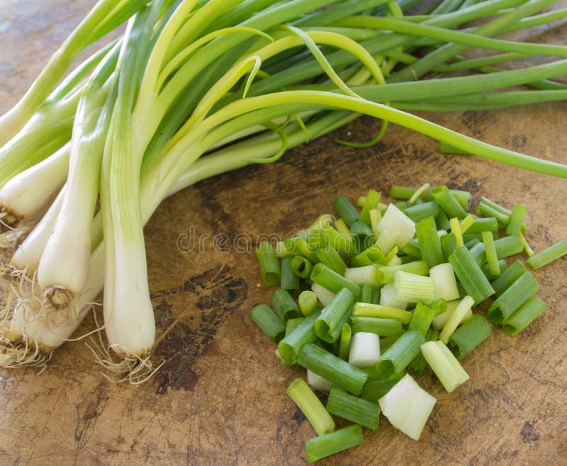 Onion stock image. Image of chopped, onions, onion, rustic - 51270499