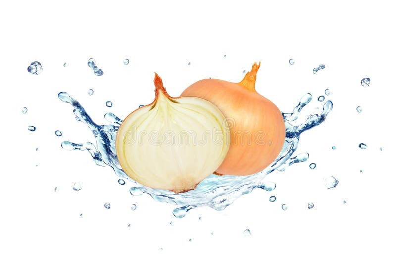 Onion splash stock photo. Image of freshness, yellow - 93522808