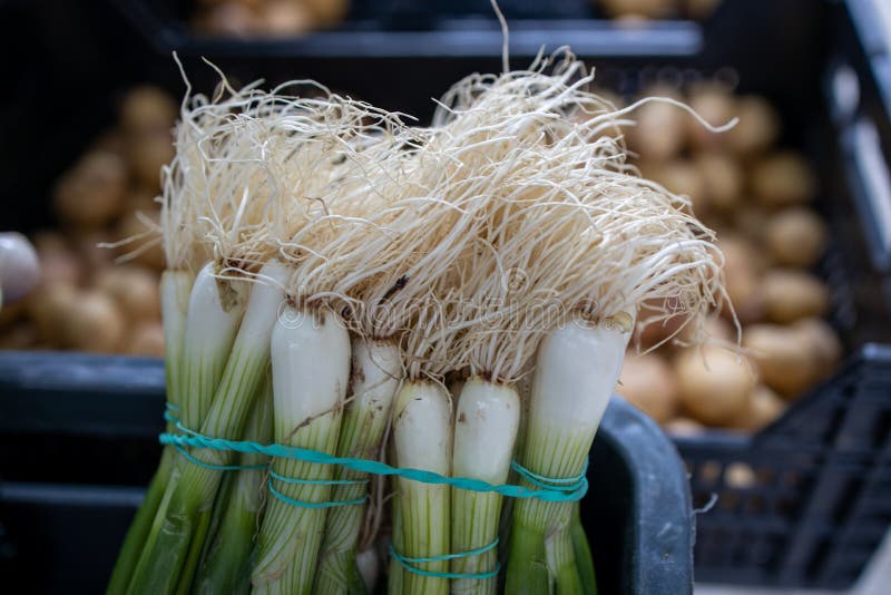 Onion Spring on the Market Stall Stock Photo - Image of healthy ...