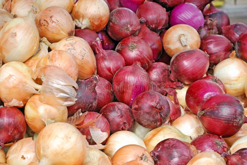 Onion Stackfor stock image. Image of edible, variety - 15311787