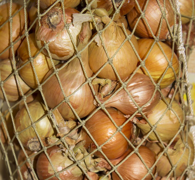 Onion stock image. Image of onion, closeup, industry - 89532233