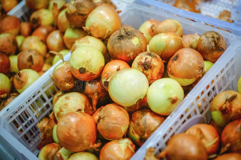 Onion in a store stock photo. Image of healthy, flavor - 62640552