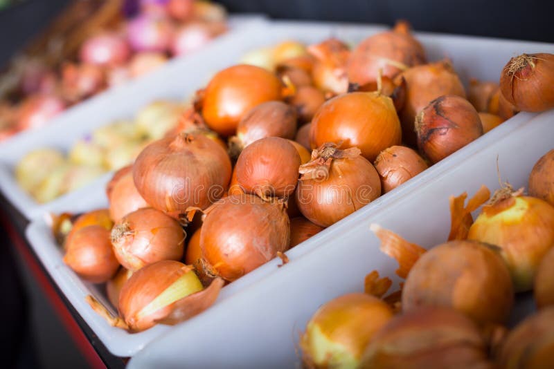 Xcounter Stock Photos - Free & Royalty-Free Stock Photos from Dreamstime