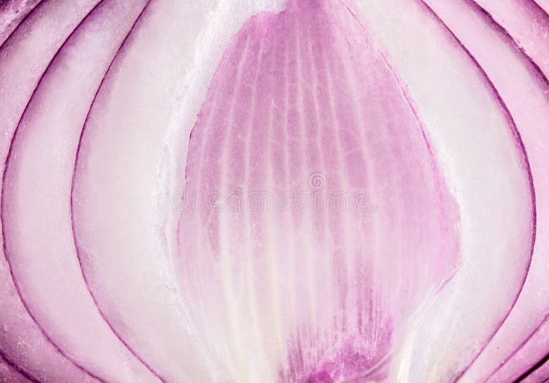 Onion surface background stock image. Image of abstract - 63924189