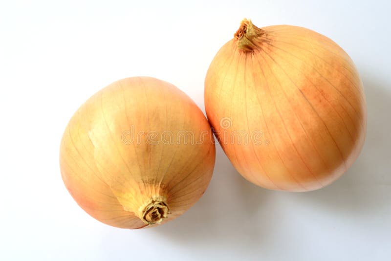 Onion stock photo. Image of yellow, crop, peeling, close - 40772744