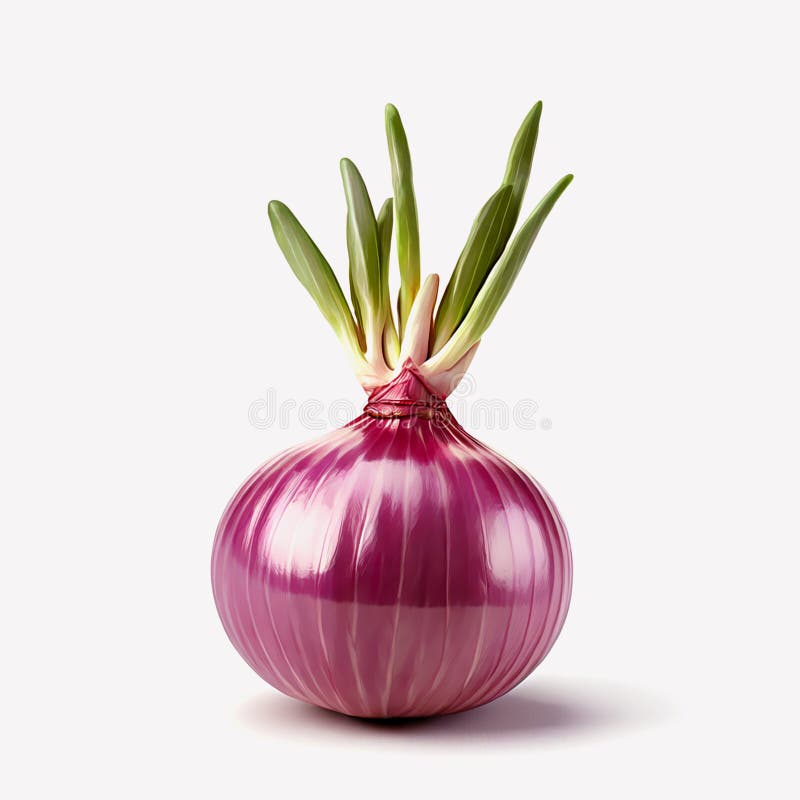 Onion Vegetable with Plan Background- with HD Quality and 3D Shine ...
