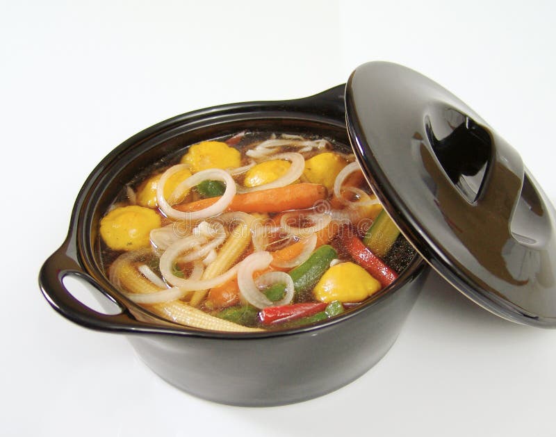 Gaeng Pet Pak stock photo. Image of curry, milk, thailand - 18623630