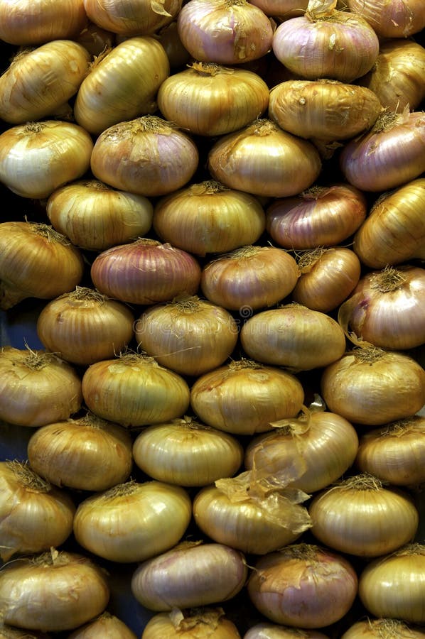 Onions stock photo. Image of market, stack, vegetable - 10706274