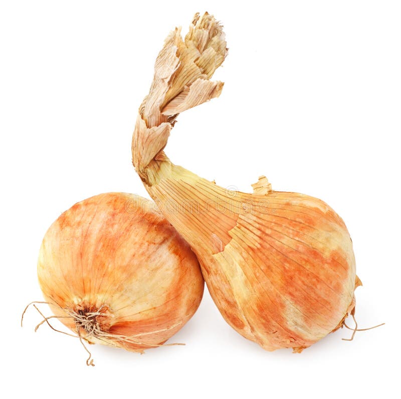 Onions. stock image. Image of organic, healthy, shell - 17292339
