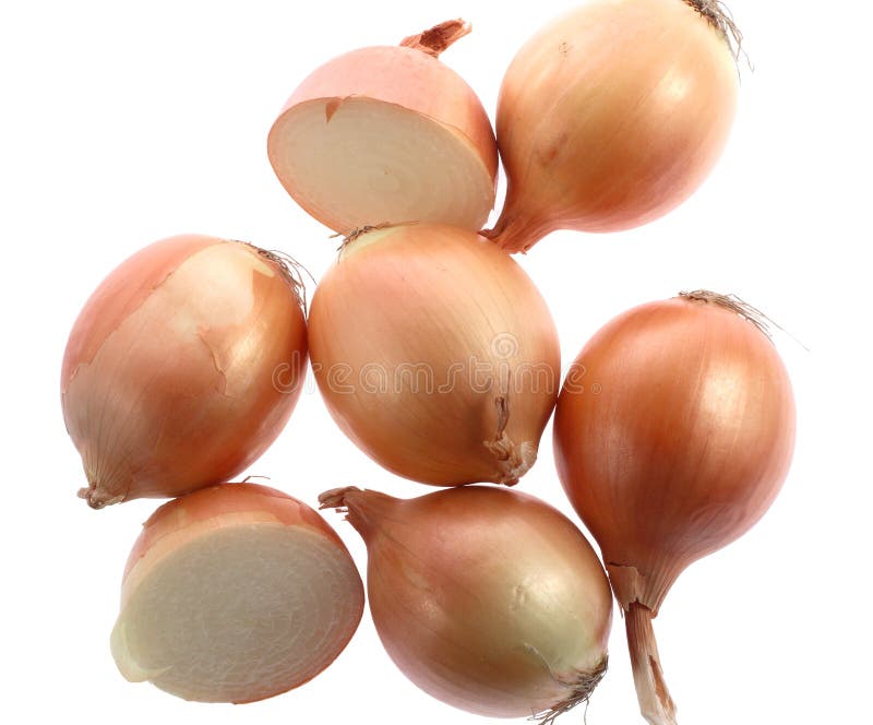 Onions stock image. Image of cutting, nature, eating, bright - 3271509