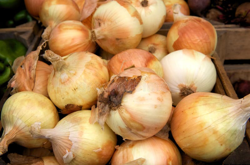 Onions stock image. Image of cuisine, life, fresh, food - 5969247