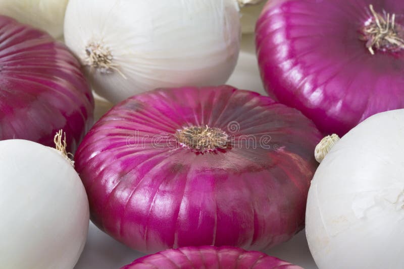 413 Cluster Onions Stock Photos - Free & Royalty-Free Stock Photos from ...
