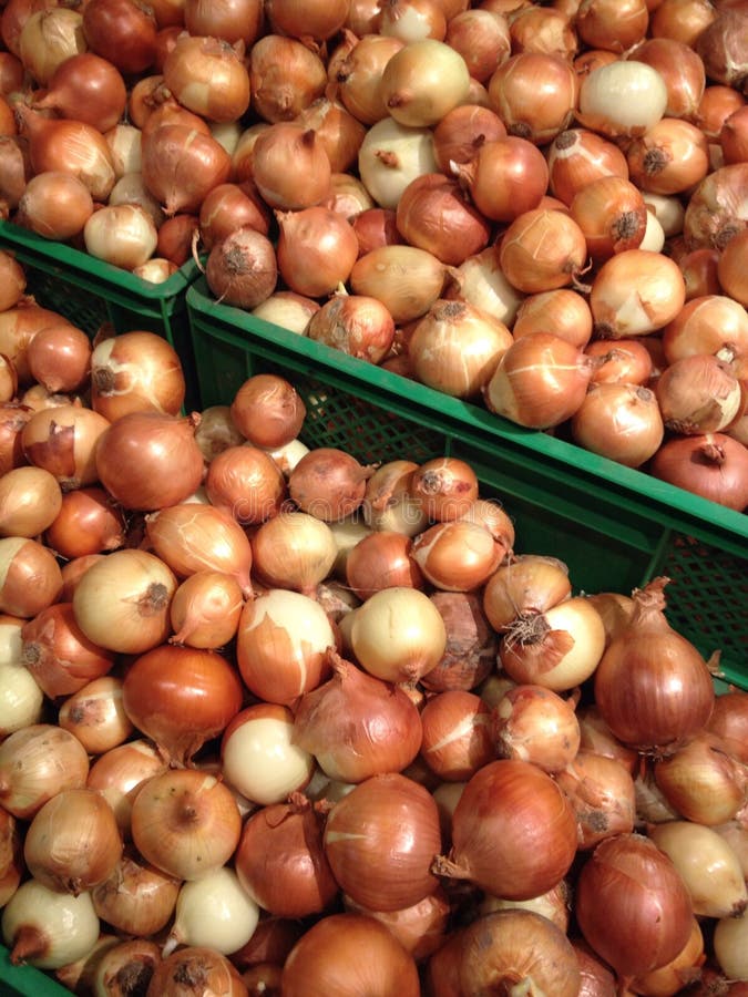 Onions stock image. Image of onions, clipping, delicious - 52407689