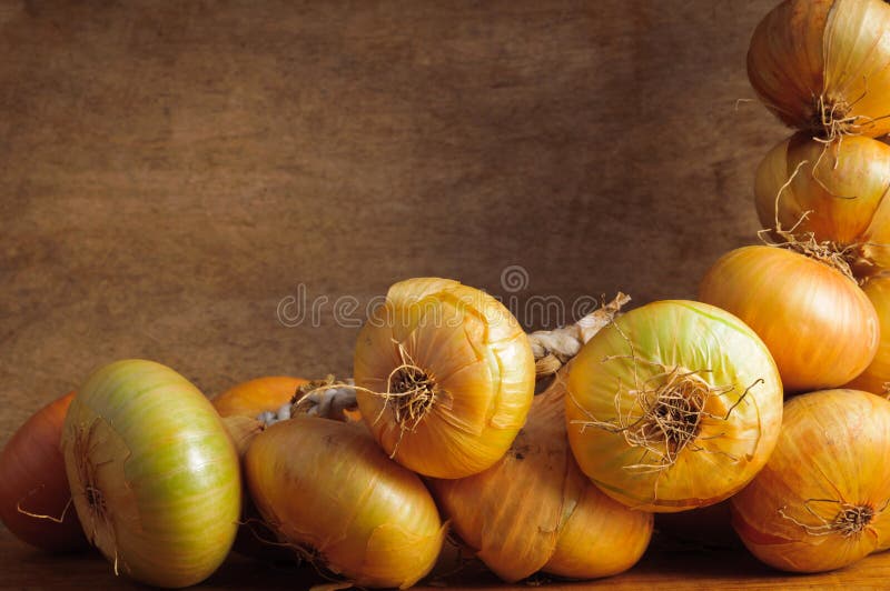 Onions background stock photo. Image of rustical, vintage - 21222262