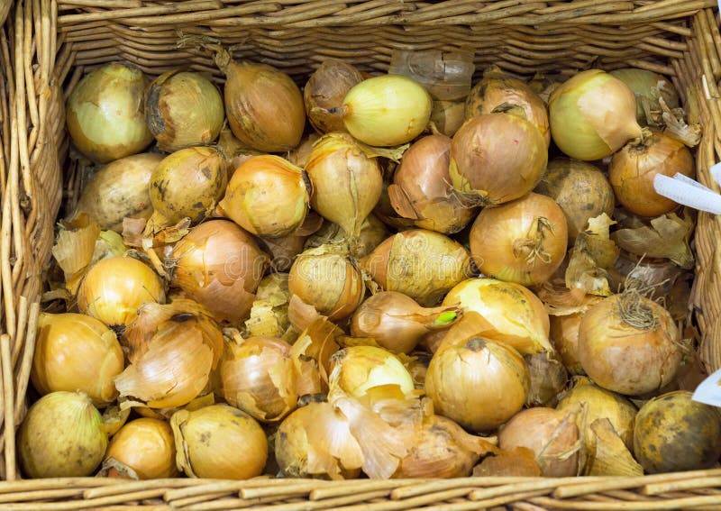 Onions for sale stock image. Image of agriculture, gold - 30000207