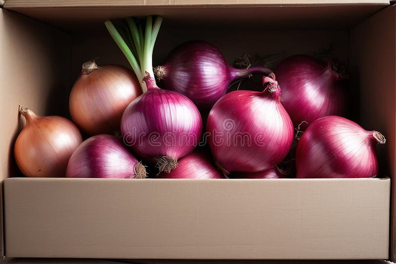 Onions in a Box on a Wooden Shelf Stock Image - Image of basket, nature ...