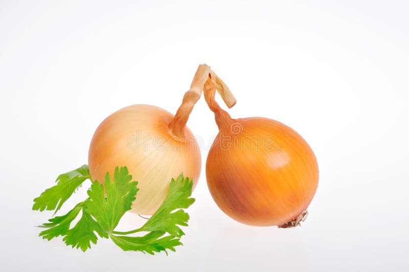 Taro Root stock image. Image of brown, corm, tropical - 36634047