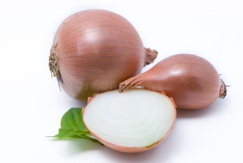 Shallot stock image. Image of shallot, white, shot, edible - 21162949