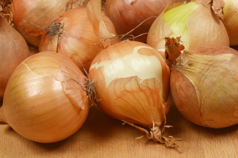Onions stock image. Image of shot, beige, brown, texture - 372306883