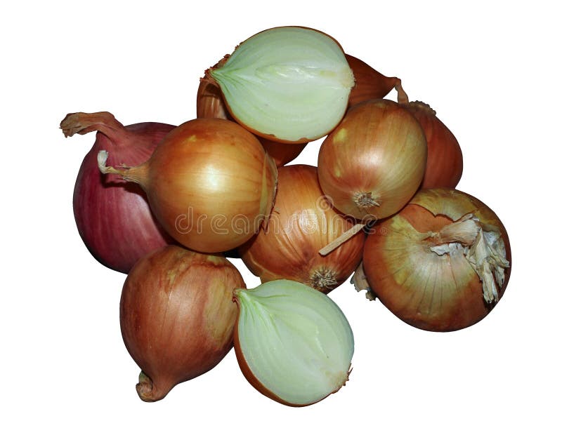 Onions of Different Colors on an Isolated Background. Stock Photo ...