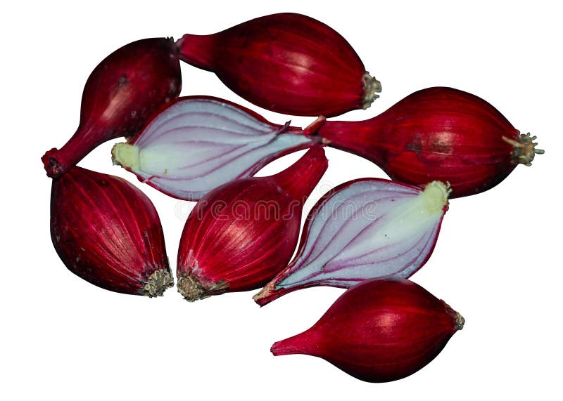 Onions of Different Colors on an Isolated Background. Stock Photo ...