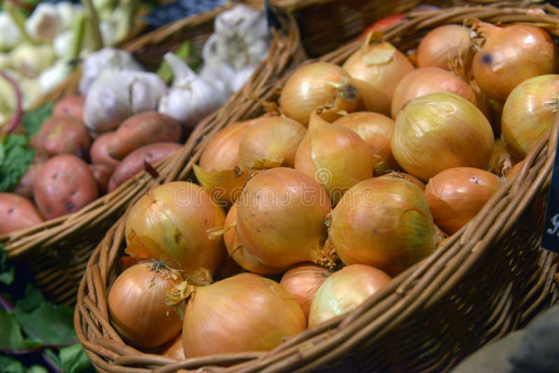 Onions on display stock image. Image of display, arrangement - 55828395