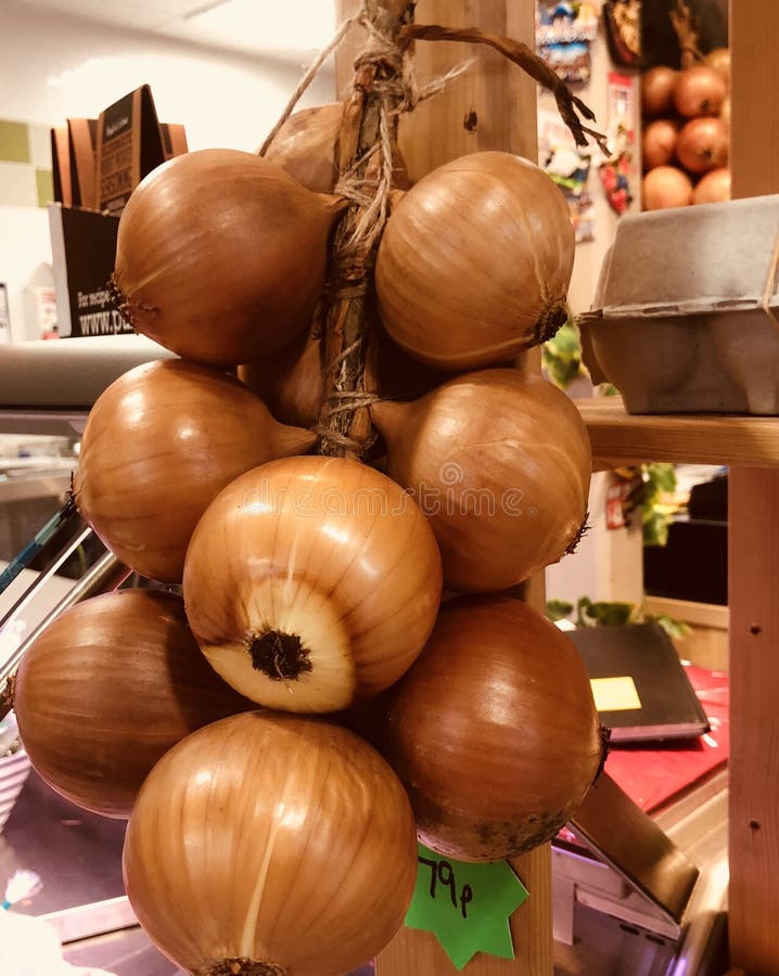 String of onions stock photo. Image of rustic, string - 23591020