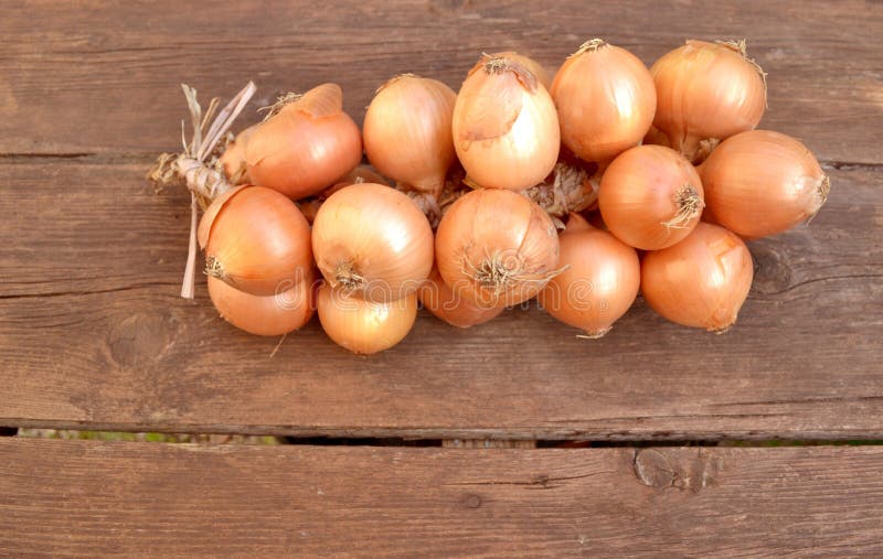 Onions stock image. Image of fresh, natural, plant, crop - 44767861
