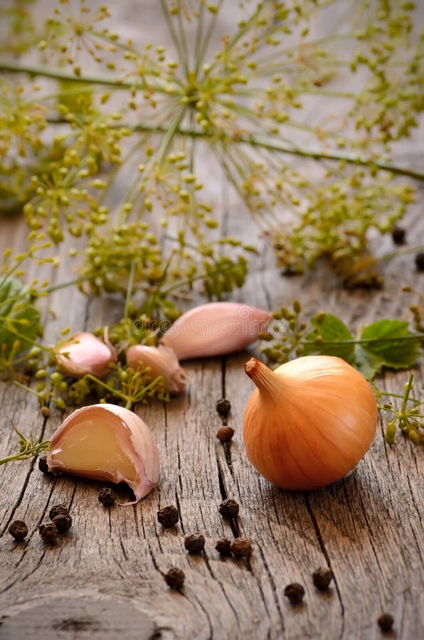 Onions, Garlic, Dill on Table Stock Image - Image of healthy, relish ...