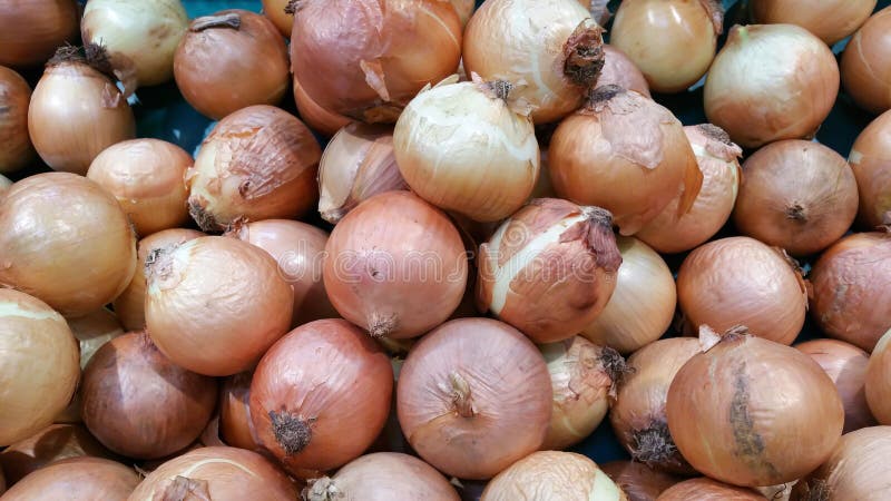 Onions stock image. Image of cuisine, onions, bazaar - 63589741