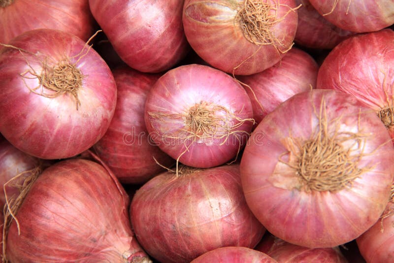 Onions. stock photo. Image of basket, odor, root, agriculture - 37742464
