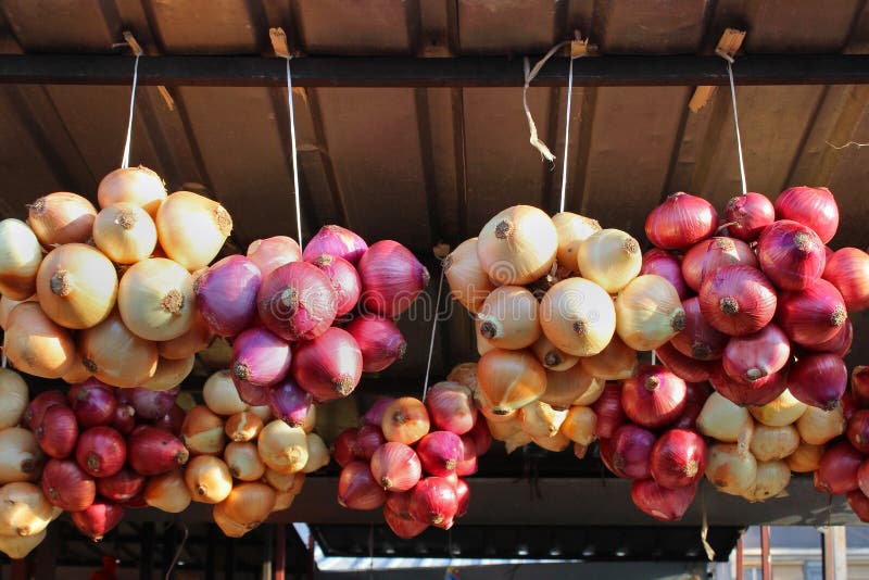 Onions market stock image. Image of purple, onion, fresh - 41389363