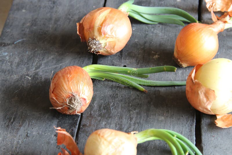 Onions on an Old Vintage Table Stock Image - Image of vegetable ...
