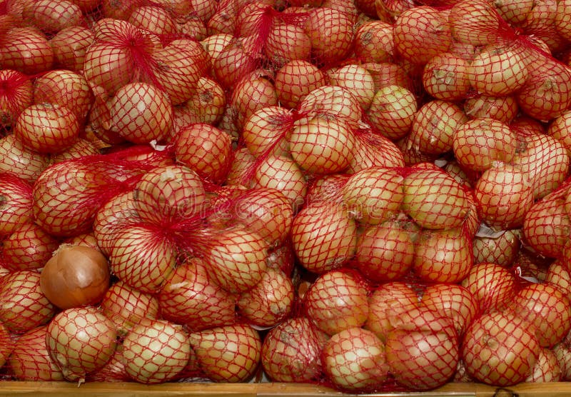 Onions packed stock photo. Image of ingredient, culinary - 34649982