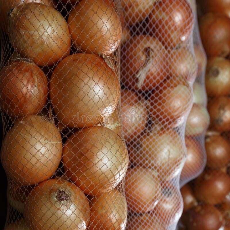 Onions Packed in Nets Hanging on Kitchen Wall Stock Image - Image of ...