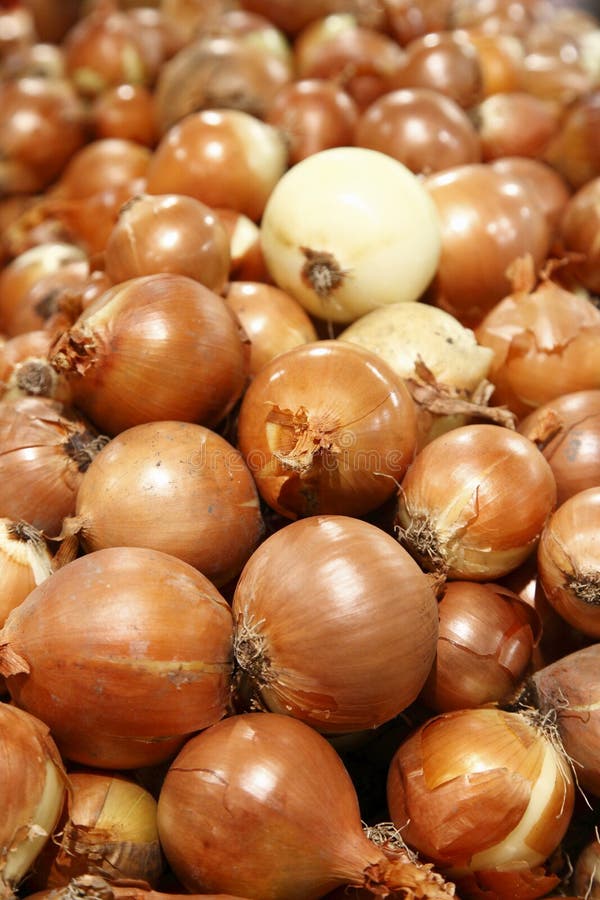 Onions for Sale in Supermarket Stock Photo - Image of ecological ...