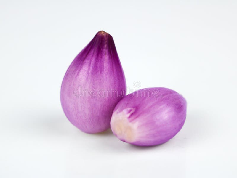 Onions or Shallots Isolated on White Background Stock Image - Image of ...