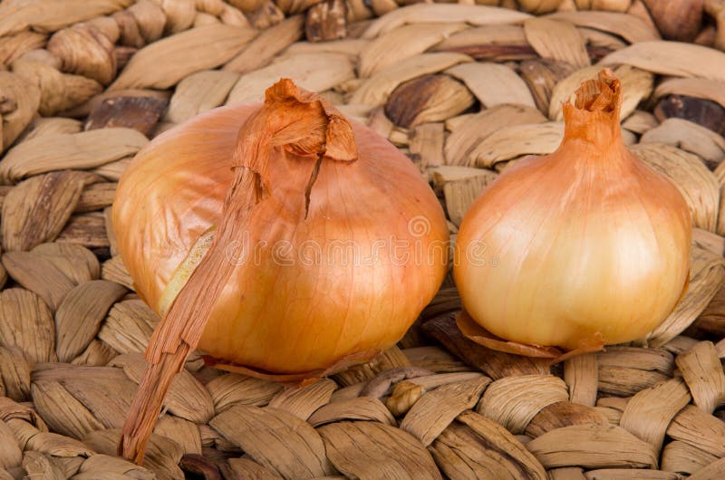 Onions in shell stock photo. Image of leaves, gourmet - 36394236