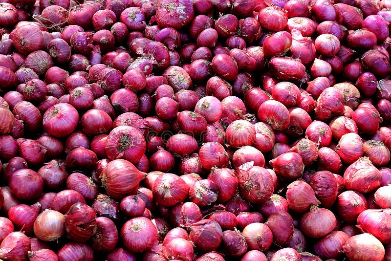 Onions stock image. Image of india, closeup, size, agriculture - 231861369