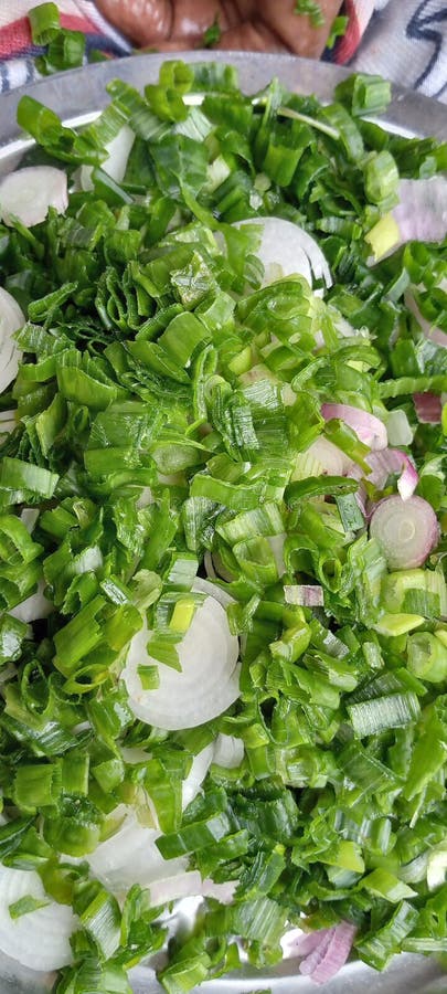 Onions, Spring Onion All Diced Stock Image - Image of onion, spring ...