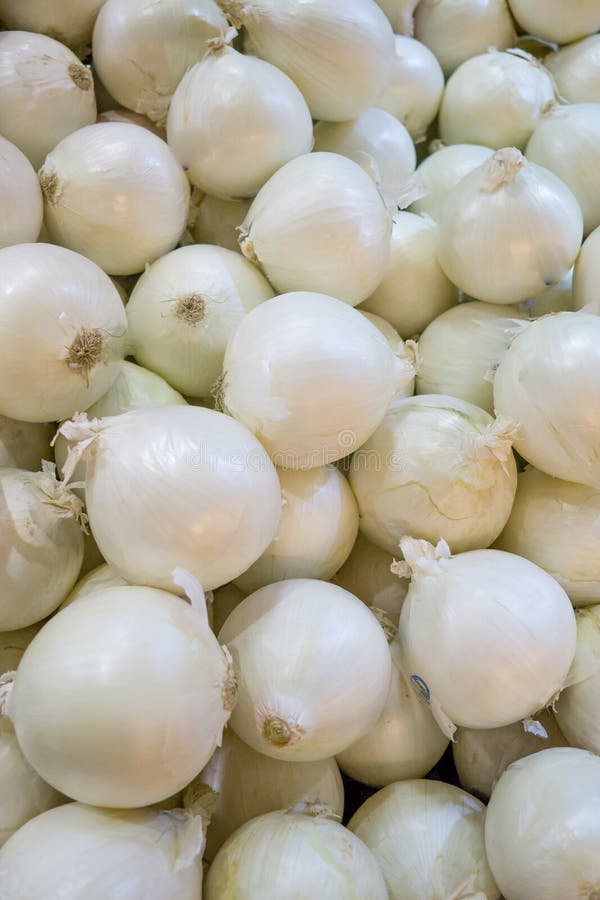 Onions stock image. Image of healthy, cardboard, full - 63815889