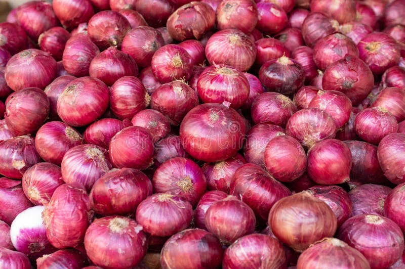 Onions at Vegetable Market stock photo. Image of natural - 141922914