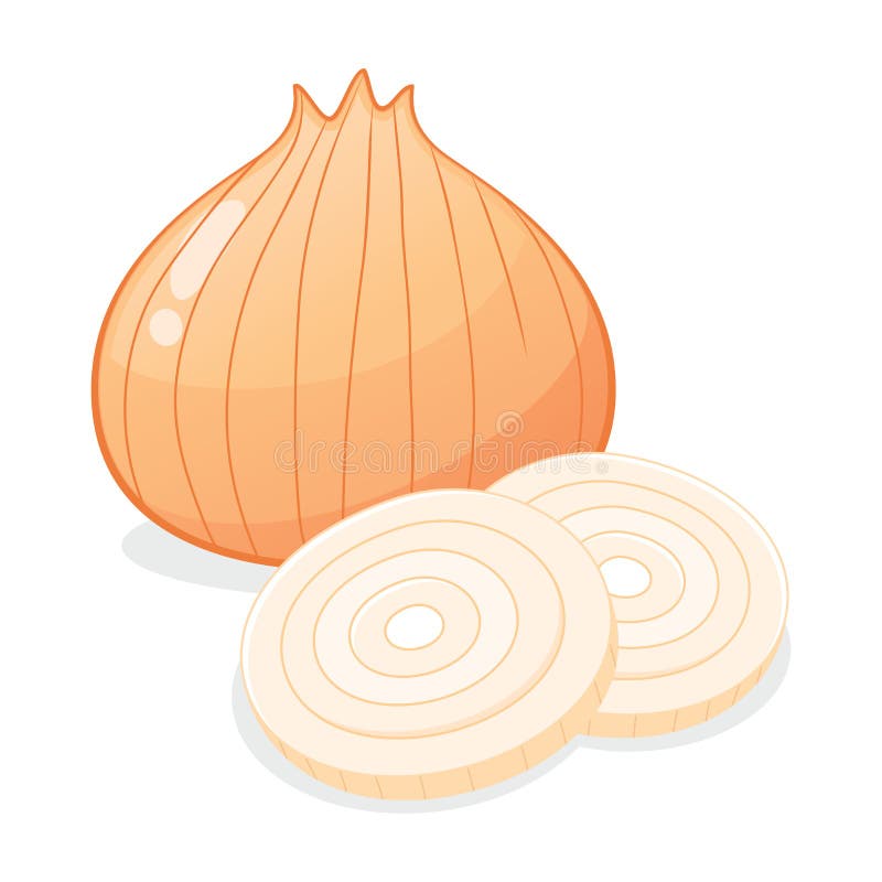 Onions Vegetable Whole And Sliced Stock Vector - Illustration: 70158706