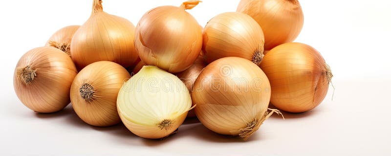 Onions on White Background. Onion Isolated Stock Illustration ...