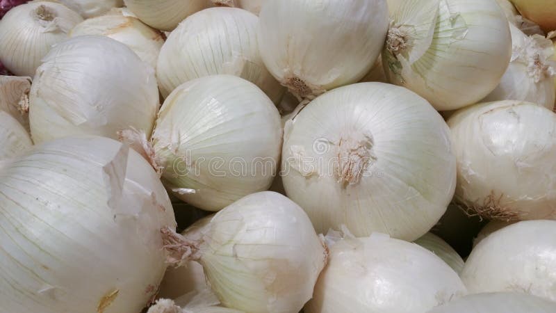 Onions stock photo. Image of white, stand, produce, grocery - 96992808