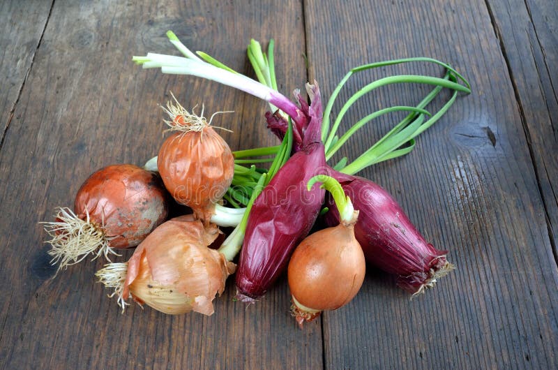 Onions on the wood table stock image. Image of wood, vegetable - 32058625