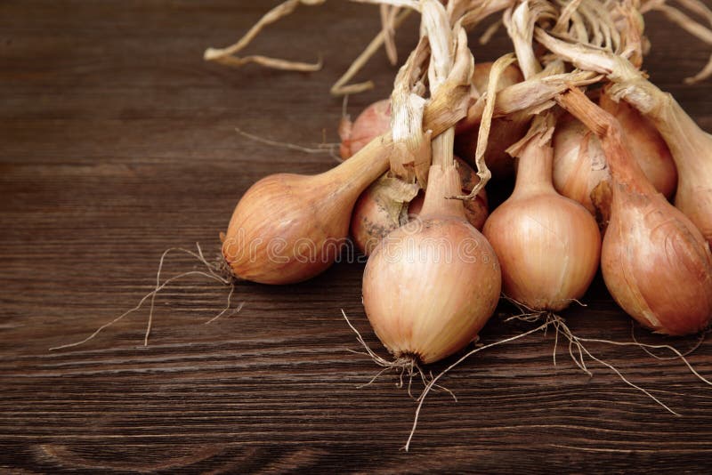 Onions stock photo. Image of eating, lettuce, ingredient - 43666180